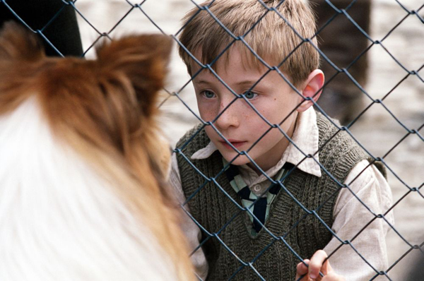 Lassie (2005) - El Séptimo Arte: Tu web de cine