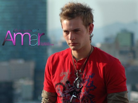 Amar (2008) - El Séptimo Arte: Tu web de cine