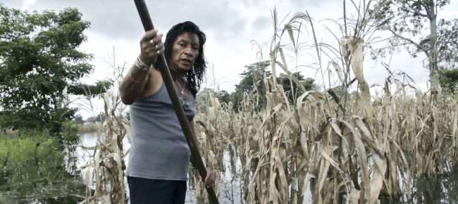 El remolino (2016) - El Séptimo Arte: Tu web de cine