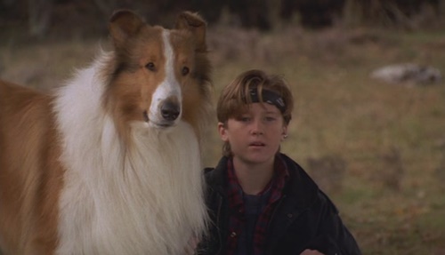 El regreso de Lassie (1994) - El Séptimo Arte: Tu web de cine